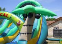 China PVC Tarpaulin Kids Inflatable Water Slide Double Lanes Design Easy Maintain for sale