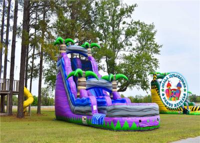China Summer Inflatable Water Slides For Adults Blue Purple Color Customized Size for sale