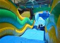 China Tropical Commercial Water Slide , Giant Blow Up Water Slide High Security Huge for sale
