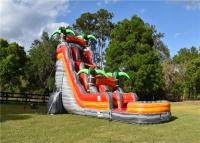 China 30 FT Huge Inflatable Water Slide Environmental Friendly UV Resistant Strong Bearing for sale
