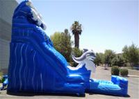 China High Safety Outdoor Water Slide , Commercial Slip And Slide Dolphin Design Lead Free for sale
