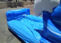China High Safety Outdoor Water Slide , Commercial Slip And Slide Dolphin Design Lead Free for sale