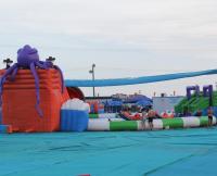 China Octopus Slide Aqua Sports Water Park Reliable Long Lifespan Creative Anti Skid for sale