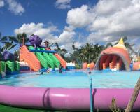 China Octopus Slide Aqua Sports Water Park Reliable Long Lifespan Creative Anti Skid for sale