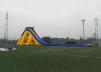 China Slip Inflatable Giant Slide Ladder Single Lane Design High Speed Exciting Anti Flamming for sale