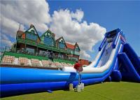 China Adult Size Inflatable Giant Slide Wet Dry Colorful Stable Structure Low Maintenance for sale