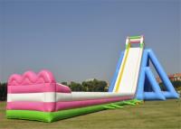 China Customized Inflatable Giant Slide Recreational Hippo Animal Theme Design With  Blower for sale