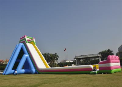 China Customized Inflatable Giant Slide Recreational Hippo Animal Theme Design With  Blower for sale