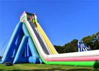 China Customized Inflatable Giant Slide Recreational Hippo Animal Theme Design With  Blower for sale