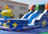 China Climbing Crawling Commercial Inflatable Slide Lovely 7x3.5x5m Eye Catcher Attractive for sale