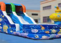 China Climbing Crawling Commercial Inflatable Slide Lovely 7x3.5x5m Eye Catcher Attractive for sale
