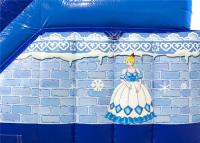 China 3D Cartoon Outdoor Inflatable Playground Frozen Princess Theme Quick Set Up for sale