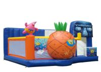 China Amusement Park Commercial Jumping Castle , Commercial Inflatable Playground for sale