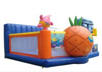 China Amusement Park Commercial Jumping Castle , Commercial Inflatable Playground for sale