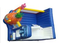 China Amusement Park Commercial Jumping Castle , Commercial Inflatable Playground for sale