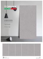 China Modern Wall Stone Ceramic Tiles 600*1200MM for sale