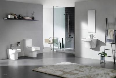 China Floormounted Bathroom Sanitary Ware European Water Closet White Glazed Ceramic for sale