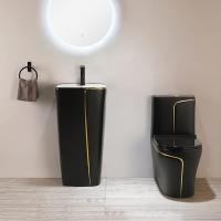 China Matte Dual Flush Single Suite Commode Toilet Floor Mounted WC Water Closet for sale