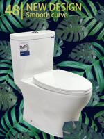 China One Piece Ceramic WC Toilet with Siphon Jet Flushing and Dual-Flush for Modern Bathrooms for sale