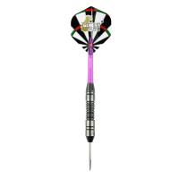 China Gentry Live 14-28g Mail Box Brass Steel Darts Set for sale