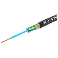 China Shanghai Shenghua ISO9001 Approved Shan 2000m/Drum 61X2.5 mm2 Instrumentation Control Cable for sale