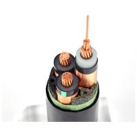 China Dependable XLPE Insulated Power Cable for Critical Infrastructure for sale