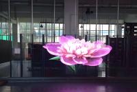 China P14 Transparent LED Screen with 14mm Pixel Pitch and 6000 Nits Brightness for Retail and Commercial Applications for sale