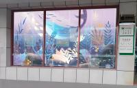 China P15 Transparent LED Screen 15mm Pixel Pitch 16K Resolution 98.5% Transparency for Retail and Architectural Applications for sale