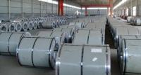 China 1250 mm Width Anti Rust Galvanized Steel Coil Impact Resistance For Floor Deck for sale