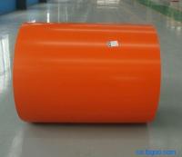 China Multi Color Prepainted Steel Coil With PE Protective Film Customized for sale