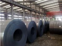 China Gas Shipping Hot Rolled Alloy Steel JIS SG295 Impact Resistance for sale