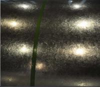 China Thickness 0.6 mm Galvanized Steel Coil Hot Dipped Zinc Coated Steel Sheet Coil for sale