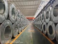 China Hot Dipped Galvanized Steel Coil JISG3302 Zero Spangle SGCC / GI Strip Coil for sale