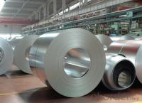 China ASTM Standard Galvanised Steel Sheet In Coil For Steel Structural Projects , GI for sale
