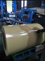 China Akzo Nobel Beige Color Prepainted Galvalume Steel Sheet In Coil 1220 mm Width for sale