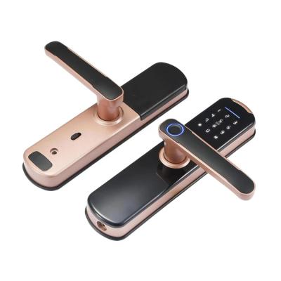 China Electronic Password Smart Fingerprint Door Lock wifi bluetooth Network for sale