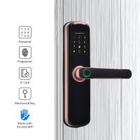 China Electronic Password Smart Fingerprint Door Lock wifi bluetooth Network for sale