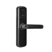 China Electronic Password Smart Fingerprint Door Lock wifi bluetooth Network for sale