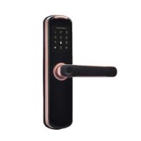 China Electronic Password Smart Fingerprint Door Lock wifi bluetooth Network for sale