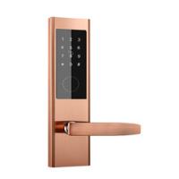 China Electronic Digital Keypad Apartment Smart Door Lock For Home AirBNB for sale