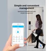 China Cerradura Inteligente Classic Smart Door Lock For Apartment Airbnb for sale