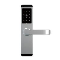 China Cerradura Inteligente Classic Smart Door Lock For Apartment Airbnb for sale