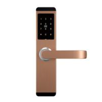 China Cerradura Inteligente Classic Smart Door Lock For Apartment Airbnb for sale
