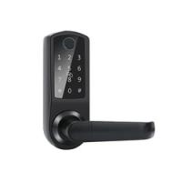 China WiFi Biometric Fingerprint Digital Keyless Door Lock Aluminium Alloy for sale