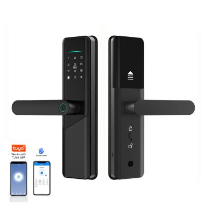 China Biometric Fingerprint Electronic Smart Door Locks High Security With TTlock Tuya App for sale