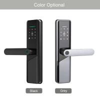 China Biometric Fingerprint Electronic Smart Door Locks High Security With TTlock Tuya App for sale