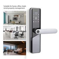 China 5 in 1 Digital Biometric Smart Door Lock With 4 Pcs AA Battery for sale