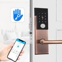 China FCC Keyless Entry Door Lock Mortise ODM Smart Digital Door Lock for sale