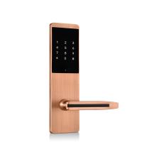China FCC Digital Front Door Lock Intelligent 300mm Home Security Door Locks for sale