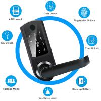 China Passcode 180mm Alkaline Smart Fingerprint Door Lock Commercial Wireless for sale